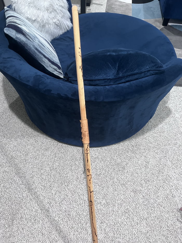 U made me go dig up my stick - 9GAG