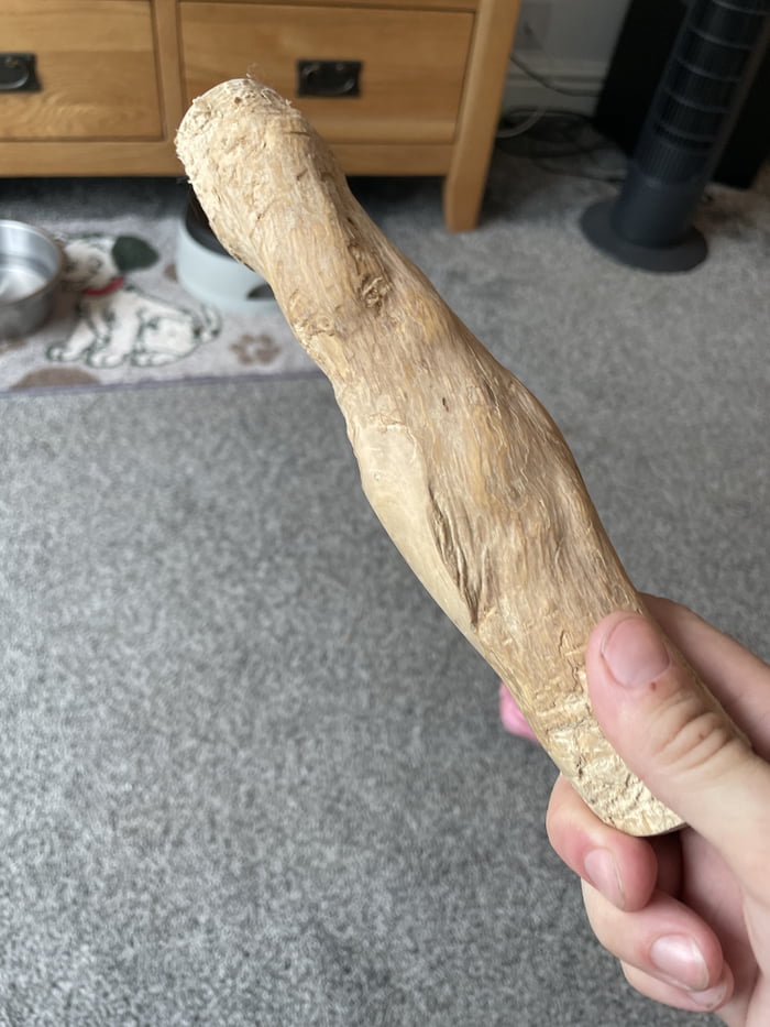 Doge’s stick not mine, but I like it. - 9GAG