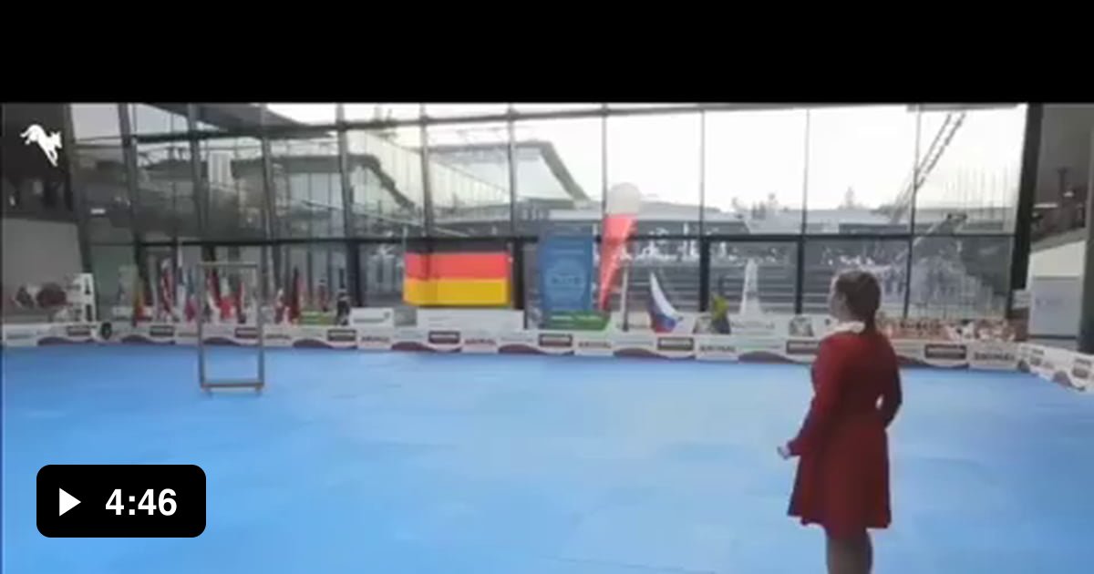 Amazing performance by the dog and handler - 9GAG