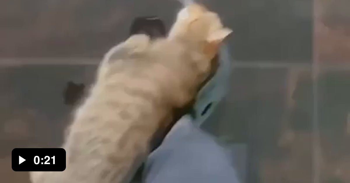 Shes Good Girl 9gag