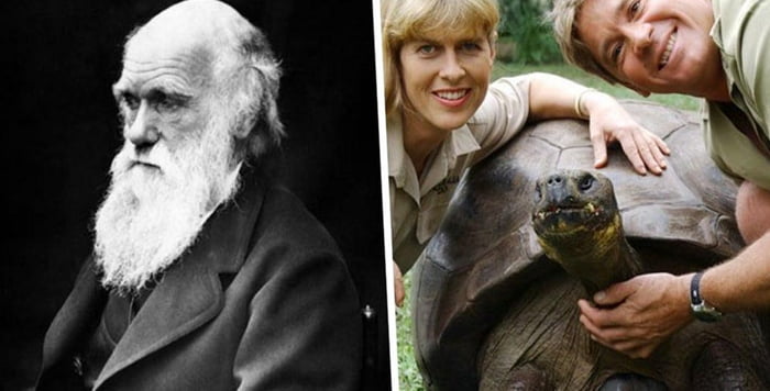 Harriet The Tortoise, Who Died In 2006, Had Seen Charles Darwin In Person - 9GAG