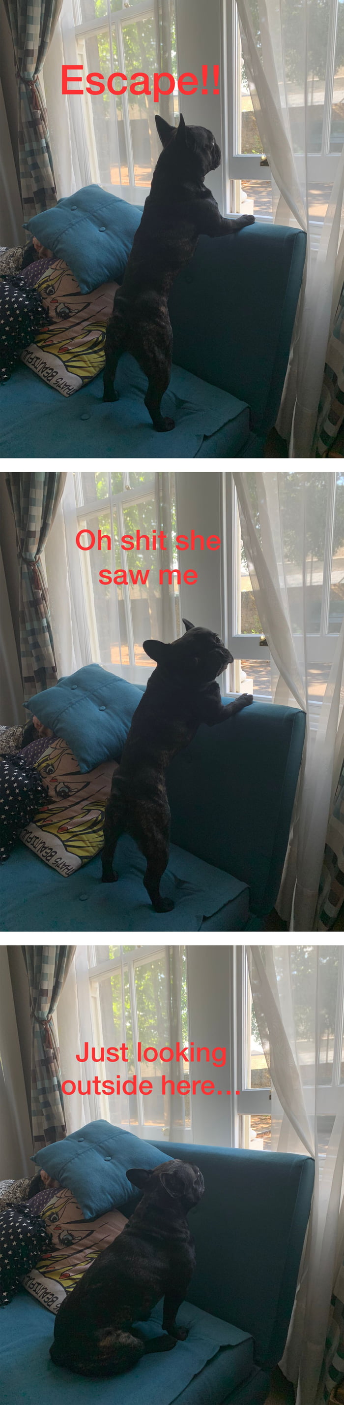 Every time I open the window... - 9GAG