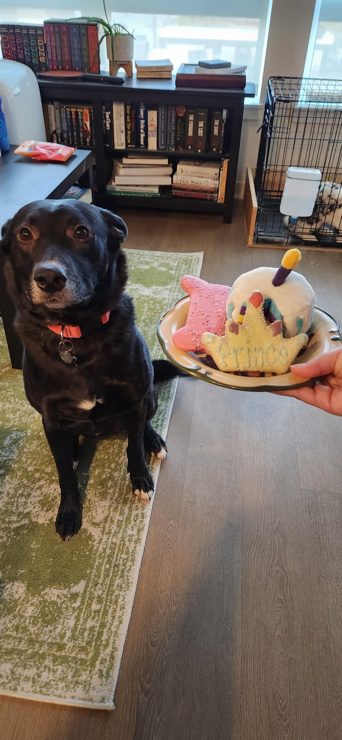Everybody say Happy Birthday Summit! - 9GAG