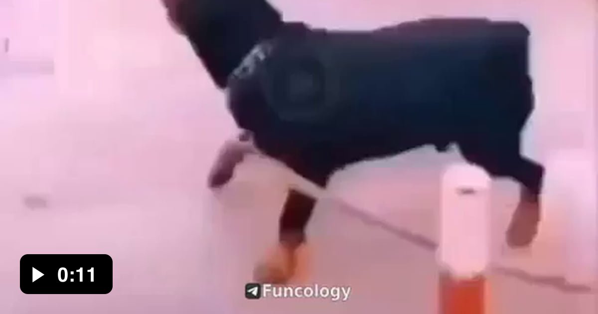 Maybe Maybe Maybe 9gag