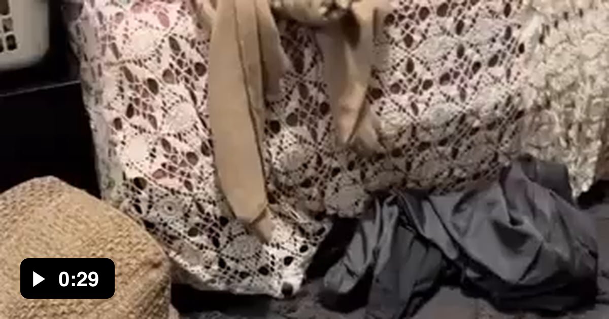 Hide and seek - 9GAG