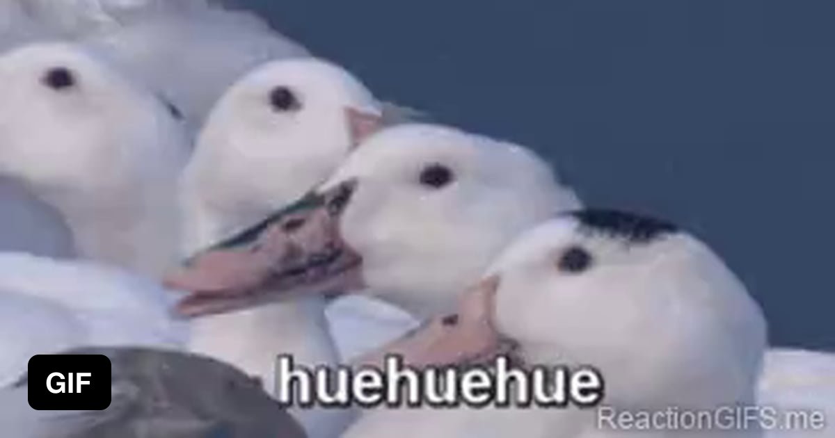Do you guys read this as hwe hwe hwe or hew hew hew? - 9GAG