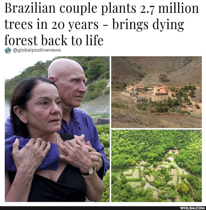 Couple who restored forest by planting 2.7million trees - 9GAG