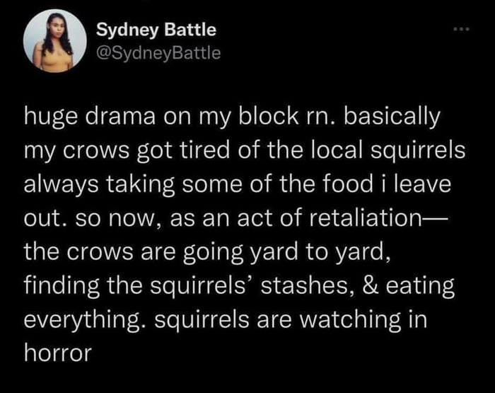 Don't Be Fooled By The Crows On My Block. - 9GAG