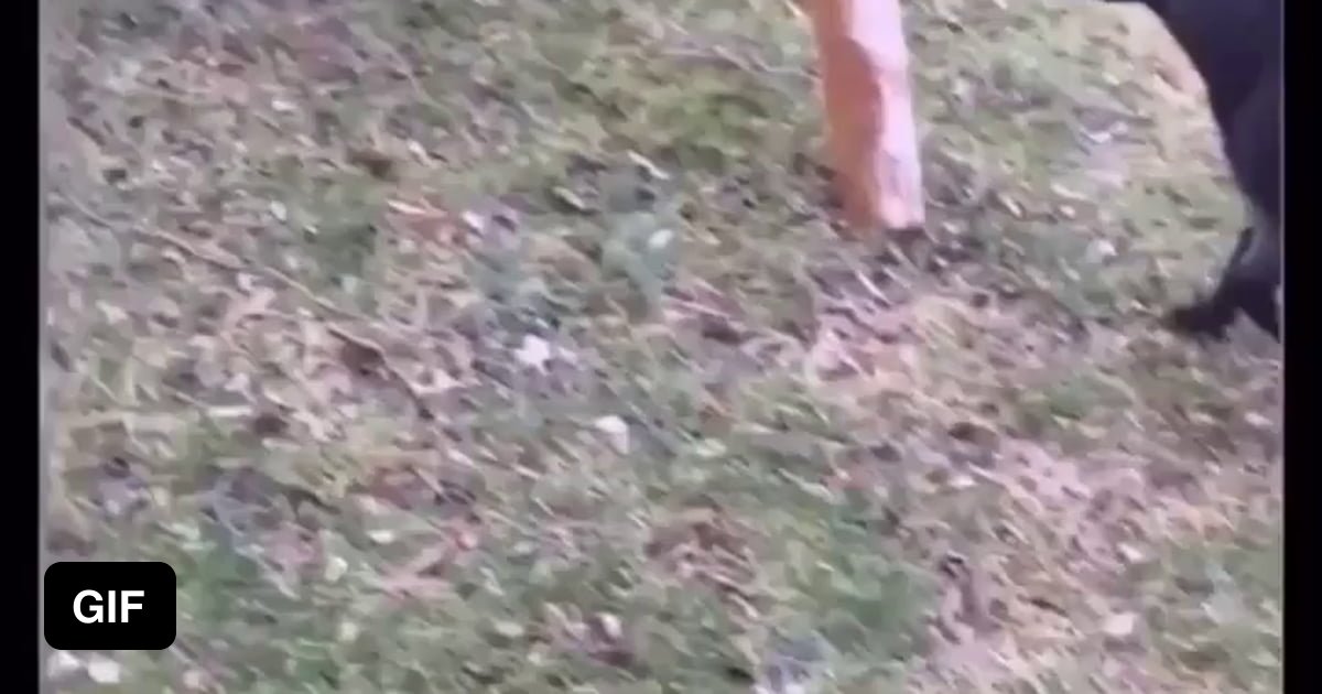 A kiD FaLLIng TO THEir DeAtH - 9GAG