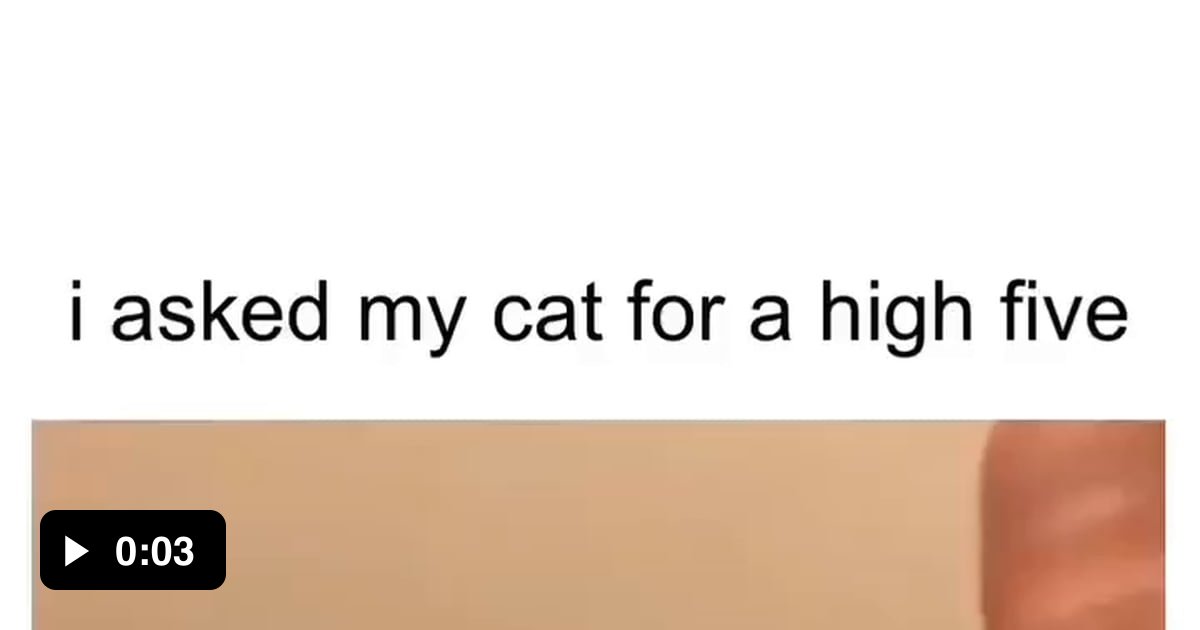 High-meow - 9GAG