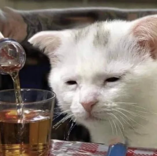 Alive, but at what cost - 9GAG