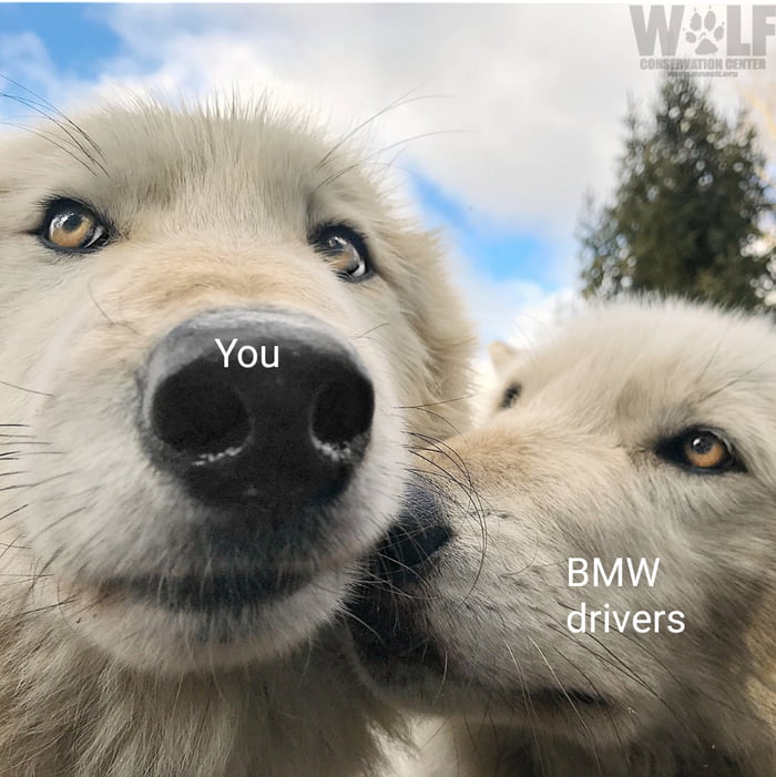 Why you do be like dat? - 9GAG