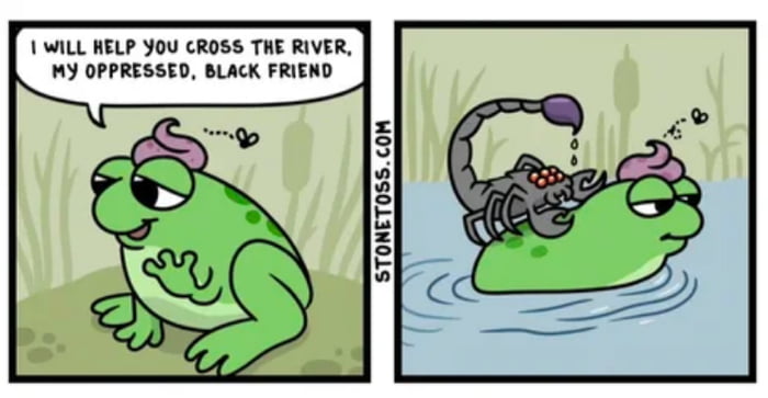 The Frog & The Scorpion - 9GAG