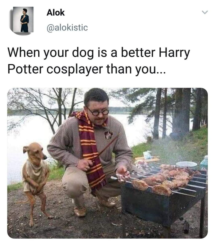 Harry Potter and Dobby enjoying a quiet BBQ - 9GAG