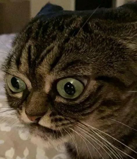 Things that make you Say : "MMMMMHH" - 9GAG