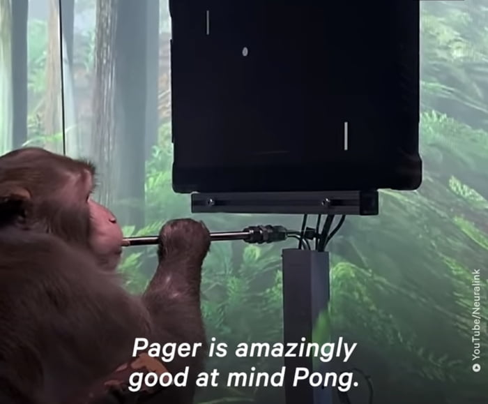 Scary? Interesting? In any case, it’s going to happen. (a monkey ...