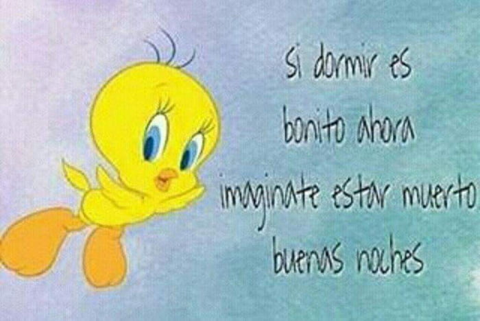 Los que querian memes de piolin - 9GAG
