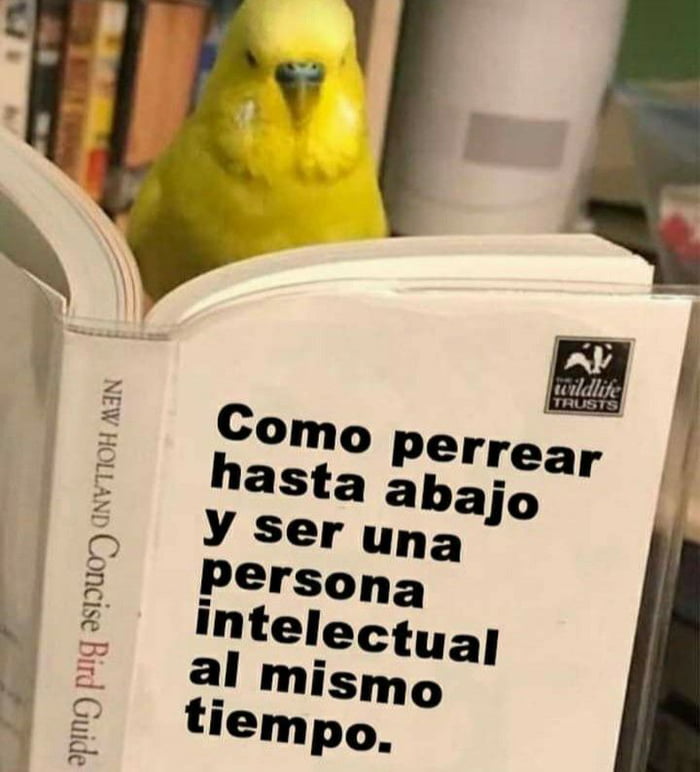 Mueve tu cuchi cuchi mami - 9GAG