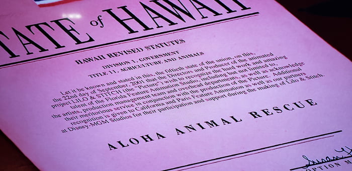 Lilo and Stitch (2002) the adoption form for Stitch is actually a thank ...