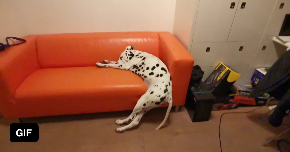 12 Year Old Doesn t Understand How Couches Work 9GAG 12-year-old-doesn-t-understand-how-couches-work-9gag
