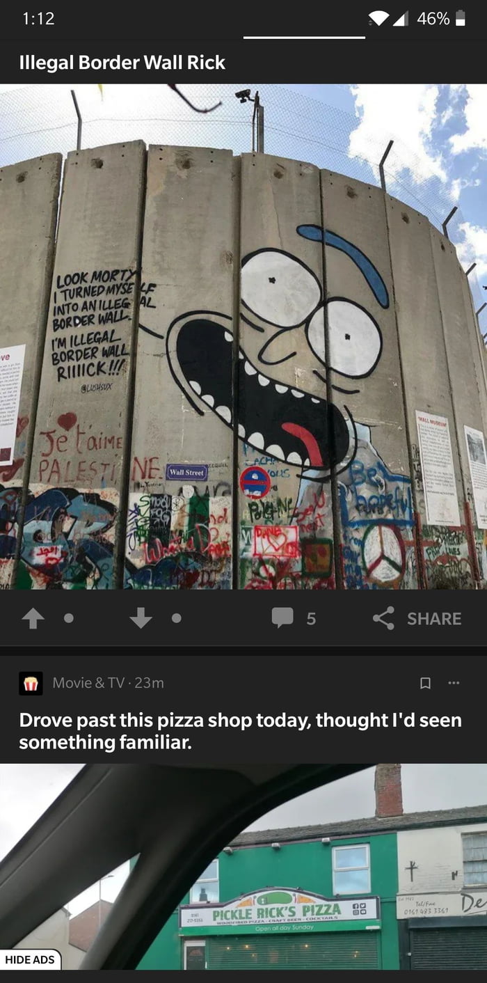 Pickle rick/wall rick - 9GAG