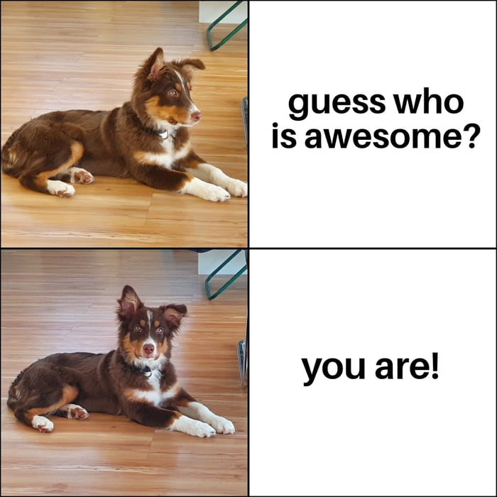Guess who is awesome... - 9GAG