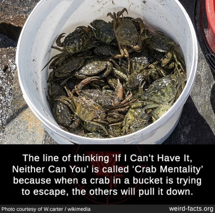 Crab mentality huh . - 9GAG