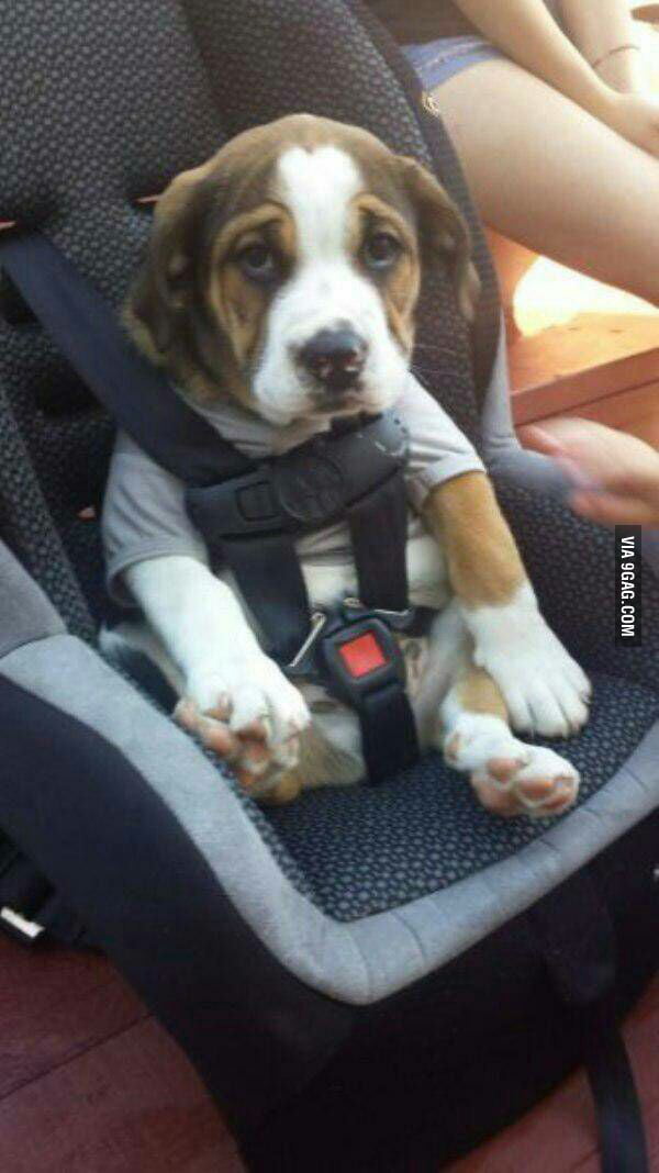 Safety first - 9GAG