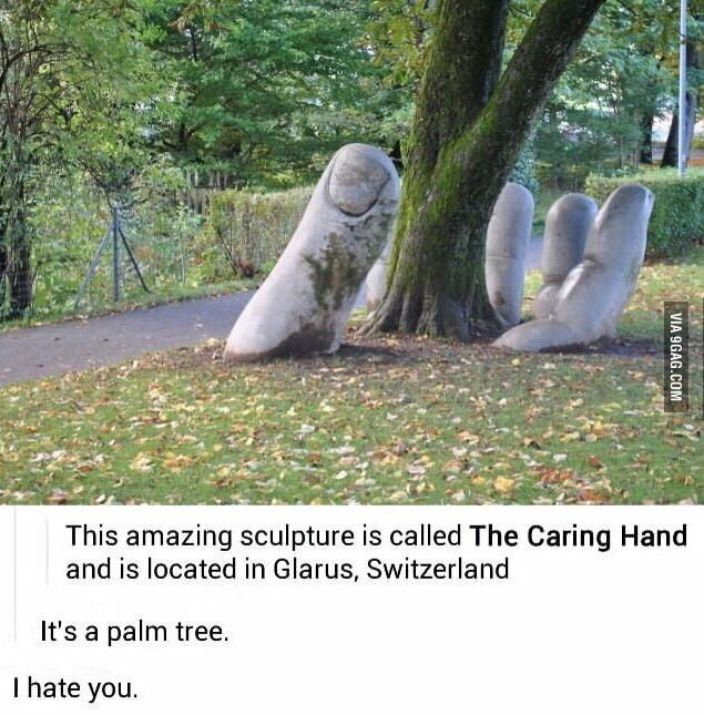 Palm tree - 9GAG