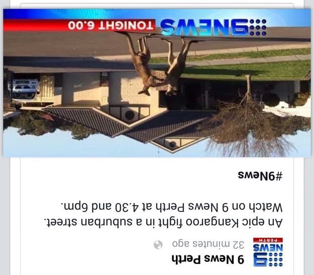 To the guy with the most Australian picture ever, beat this one ! - 9GAG