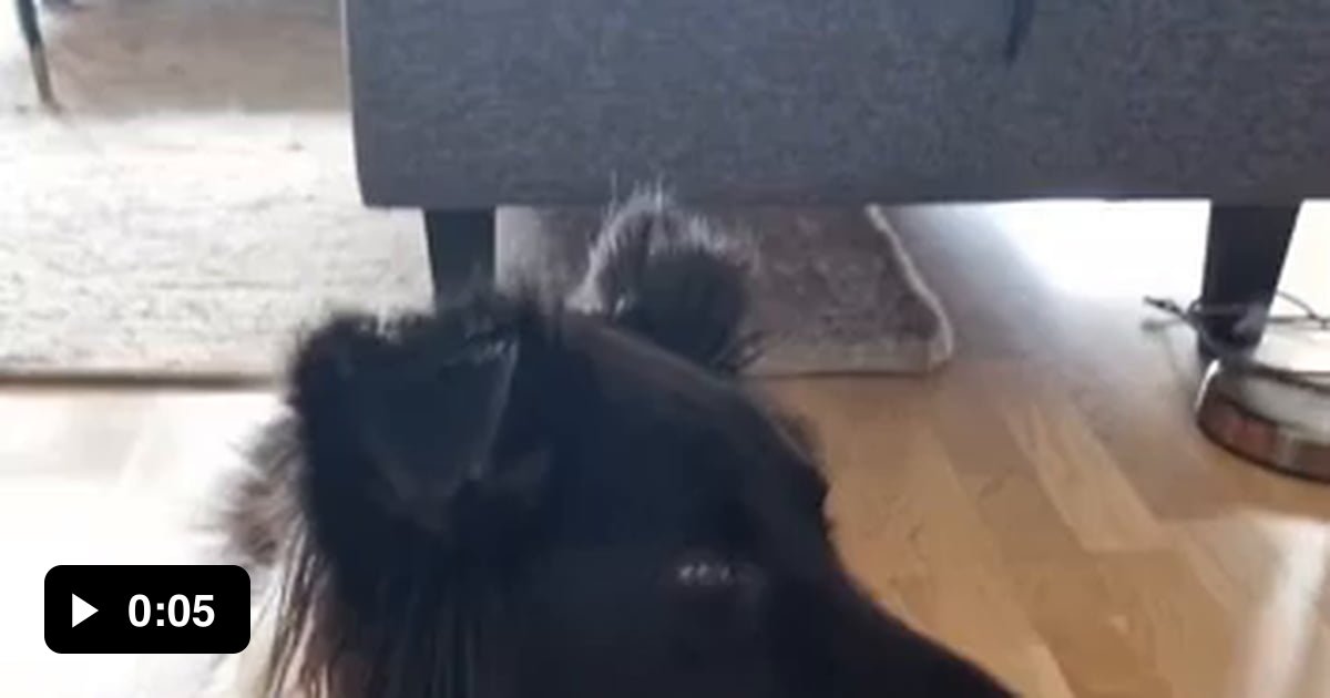 Very Dramatic - 9GAG