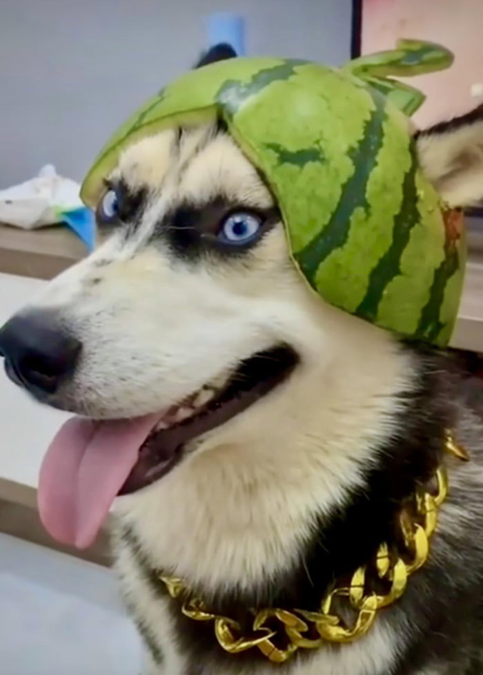 Just call me melonhead - 9GAG