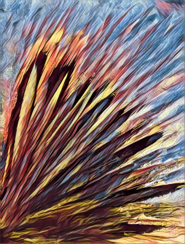 Feather - any improvement pointers for the composition? - 9GAG