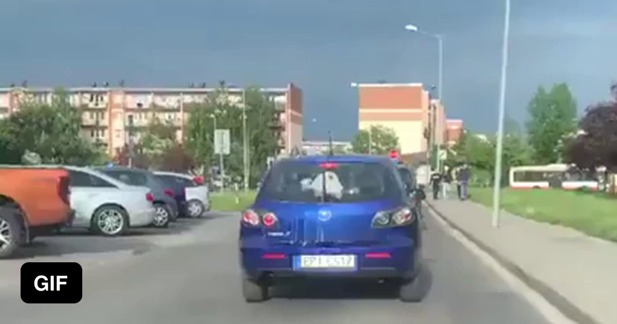 After he catches it, maybe he can go help the cat catch that red dot - 9GAG