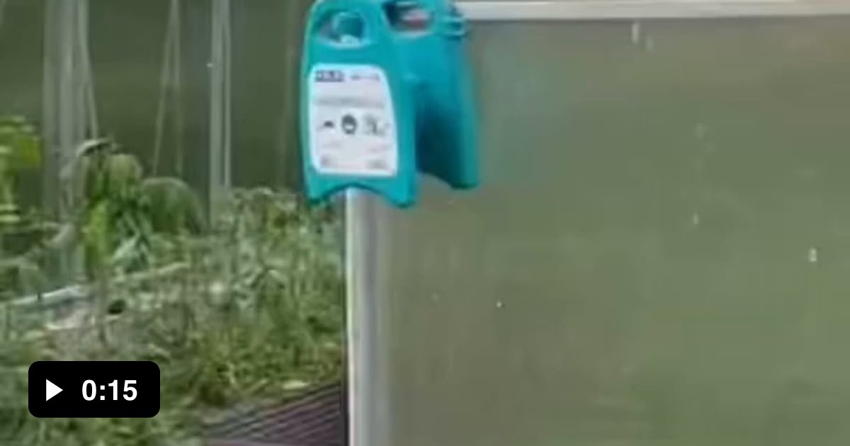 "Dude just stop filming" - 9GAG