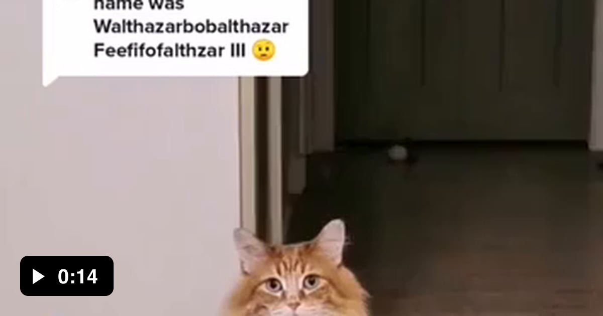 Walthazarbobalthazar Feefifofalthazar III, the Unblinking Wizard, caster of the soulless stare ...