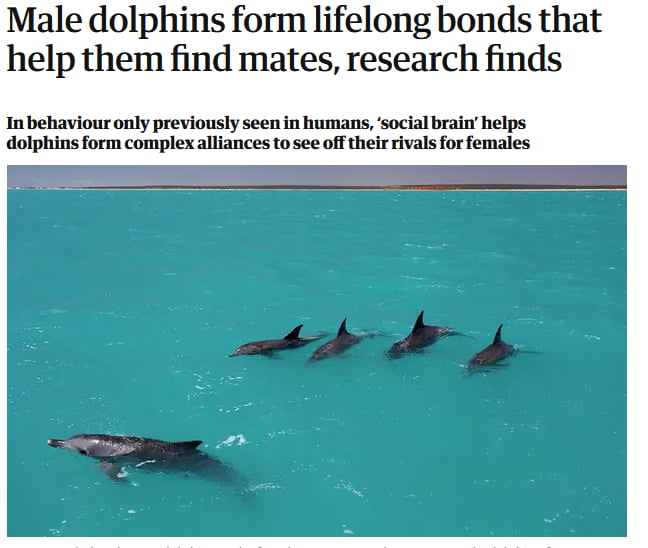 Universal Bro Code. - 9GAG