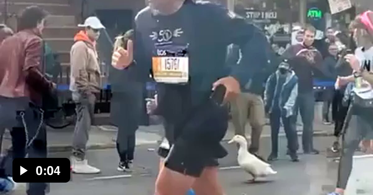 The real champion - 9GAG