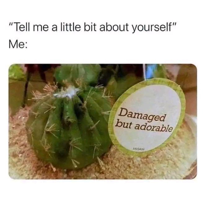 Damaged but adorable - 9GAG