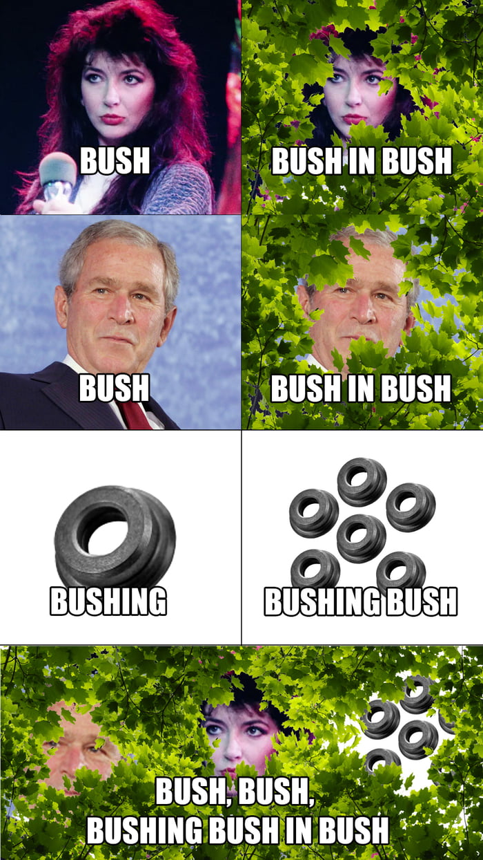 In bushes - 9GAG