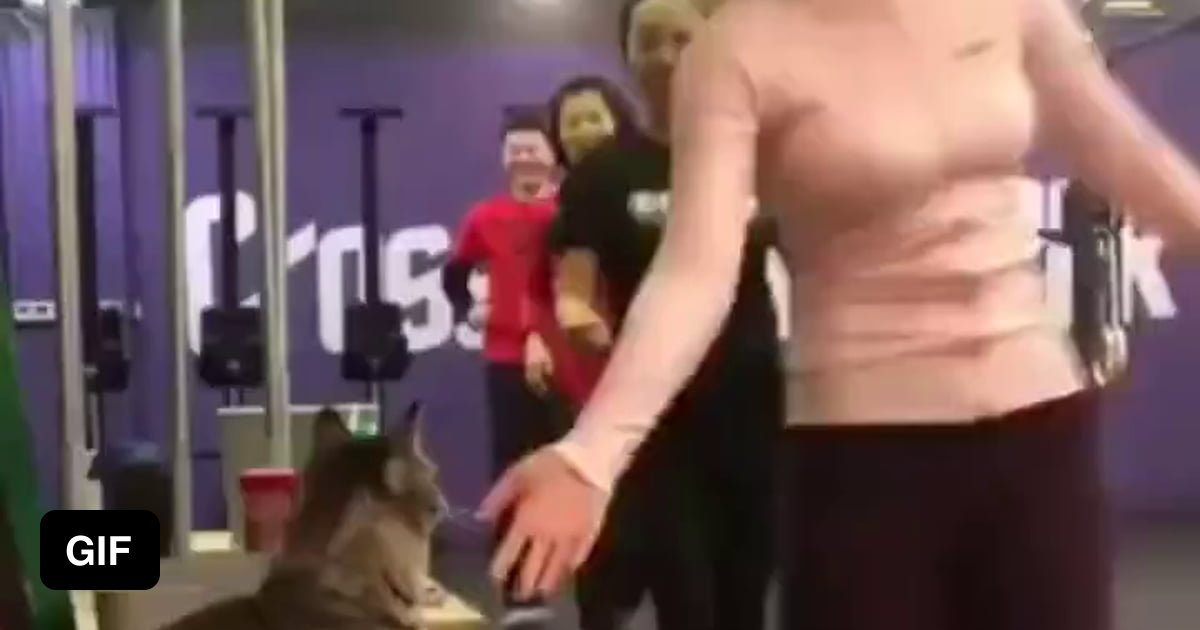 The perfect motivator.. - 9GAG