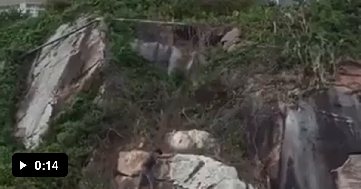 Man falls attempting to climb cliff - 9GAG