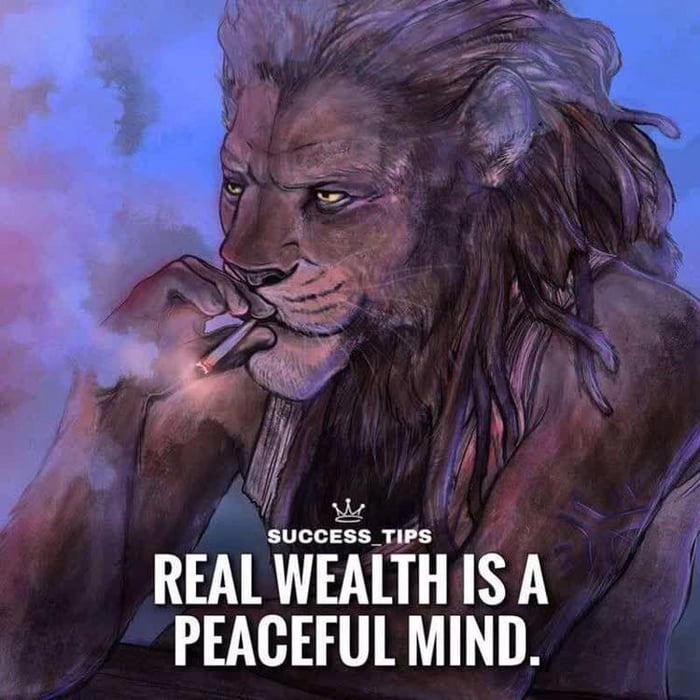 Why is this lion smoking a cigarette? - 9GAG