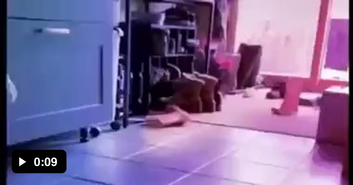 This is how you fast track evolution - 9GAG