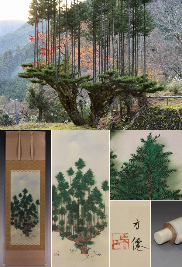 Daisugi is an Ancient Japanese Forestry Technique Produces Lumber ...