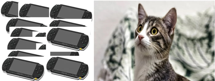 How to summon a cat: - 9GAG