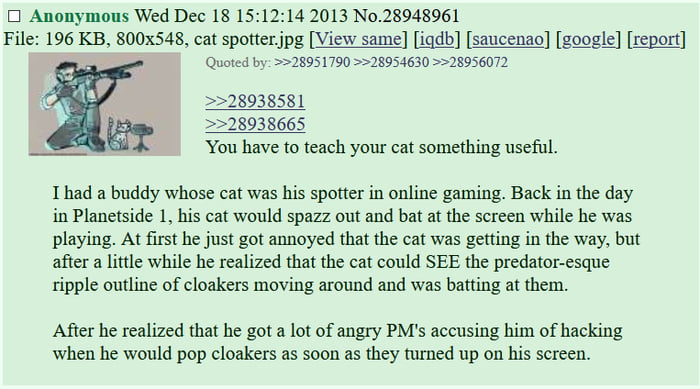 Cat spotter - 9GAG