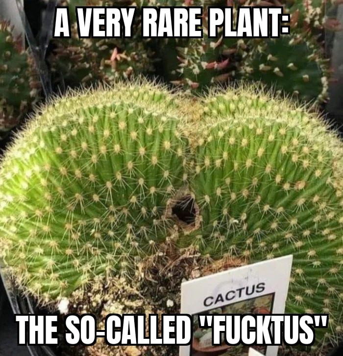 Not very often seen... - 9GAG