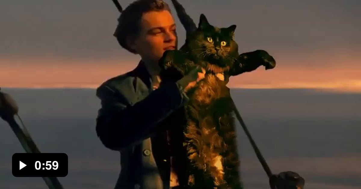 Purrrfect love story - 9GAG