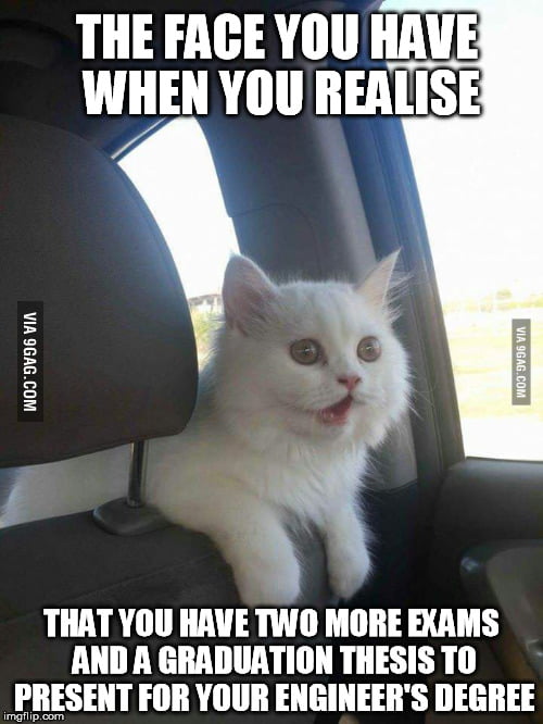 To the guy who wanted his cat a meme... I try! (also, just two weeks ...